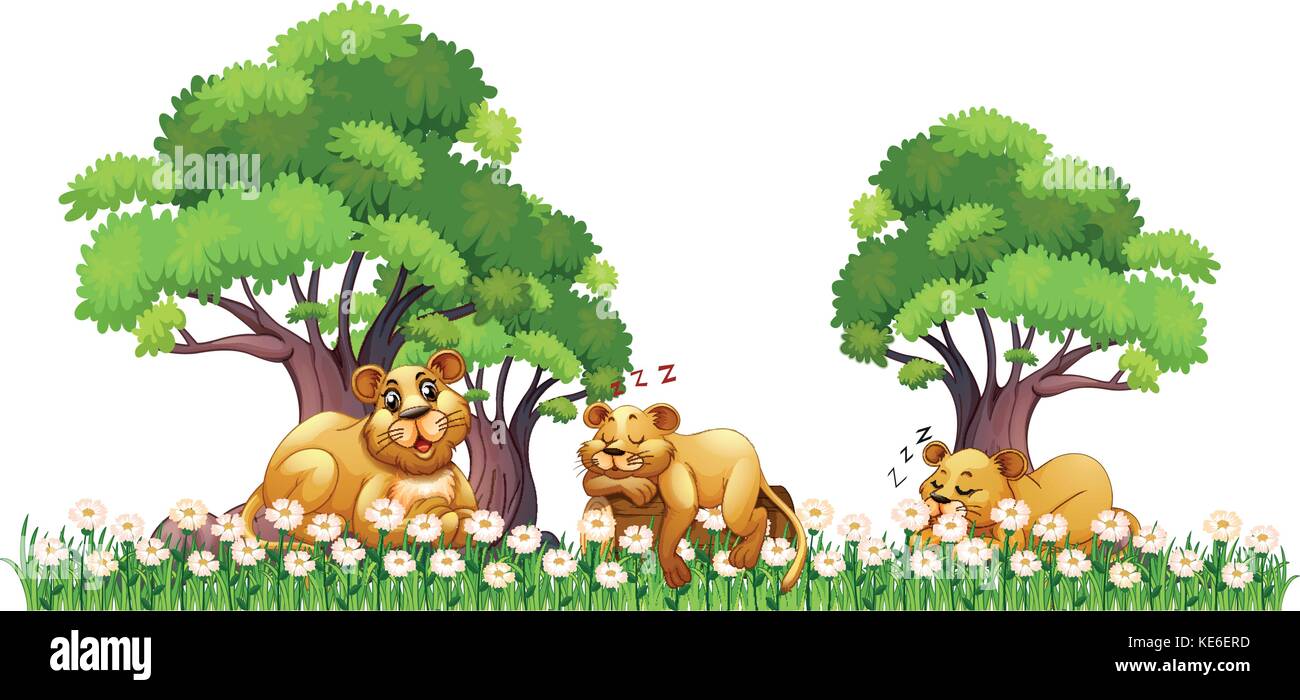 Three resting lions Stock Vector Images - Alamy