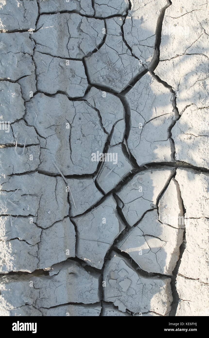 Dry Gray Cracked and Poor Land in the Shadows Closeup Stock Photo - Alamy
