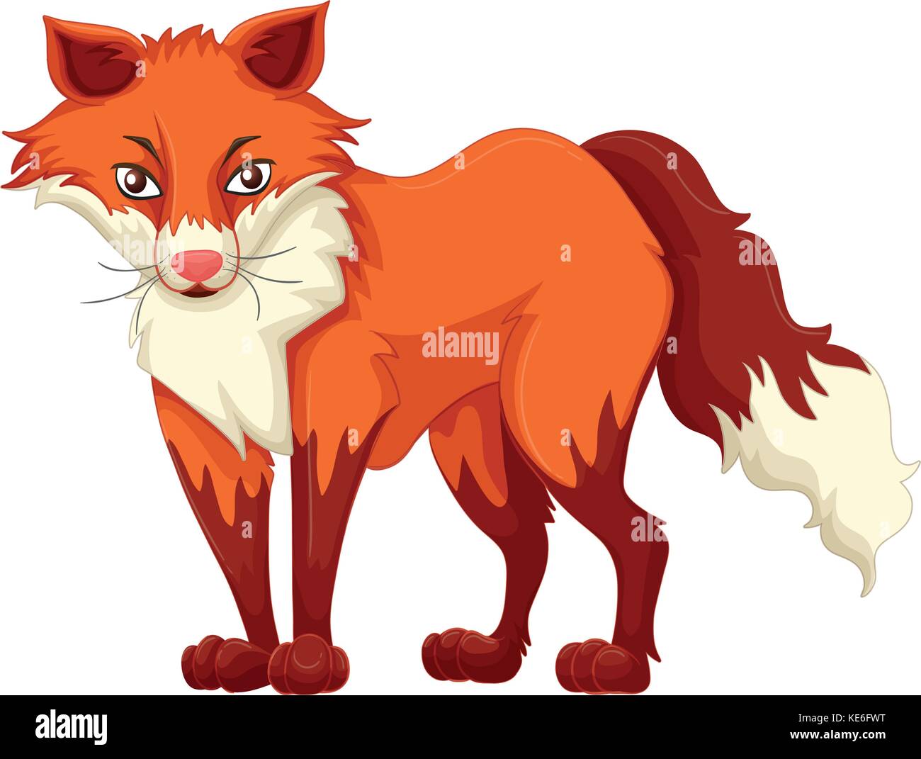 Red fox standing on white background illustration Stock Vector Image ...