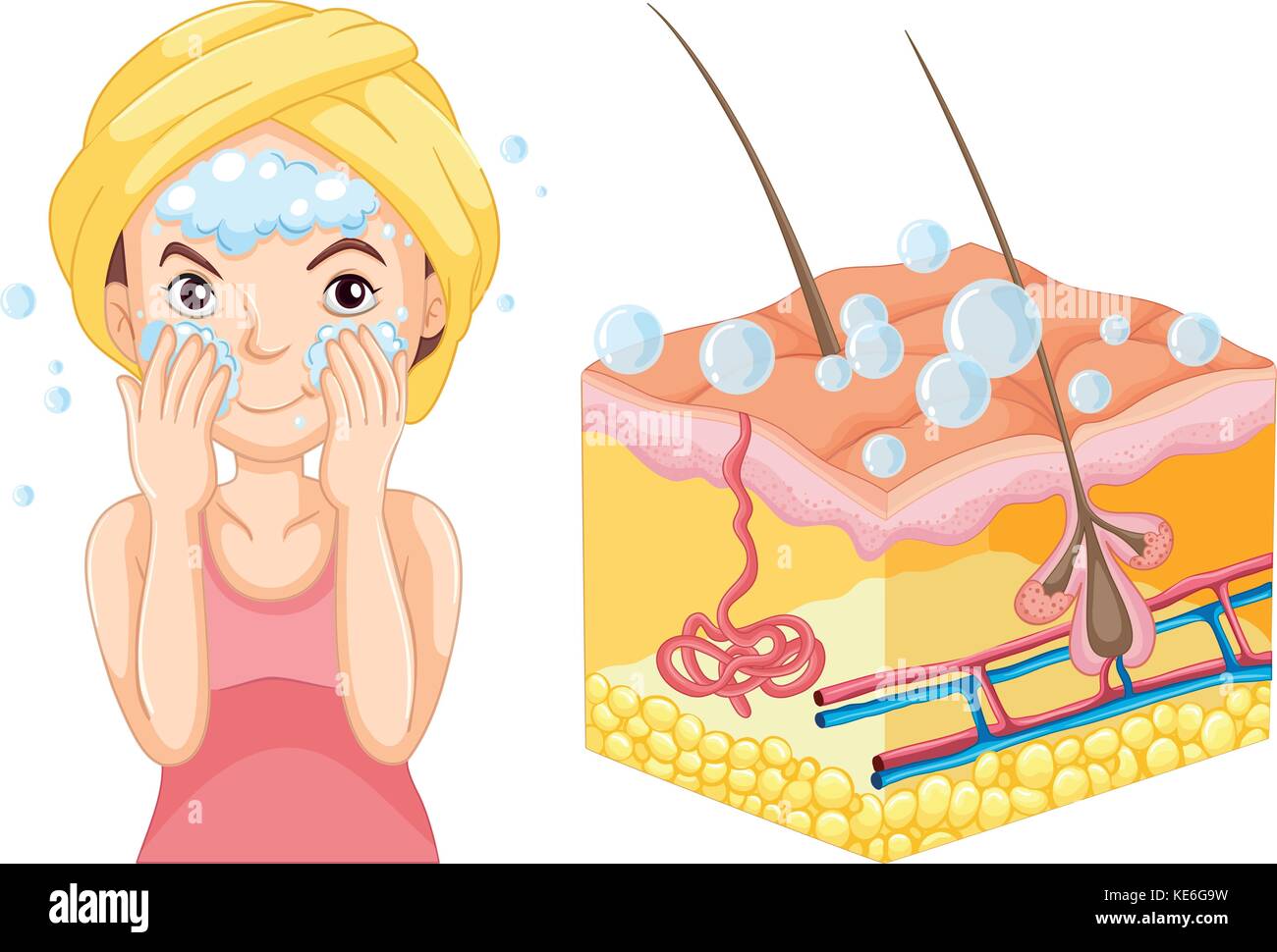 Woman washing face with soap illustration Stock Vector Image & Art - Alamy