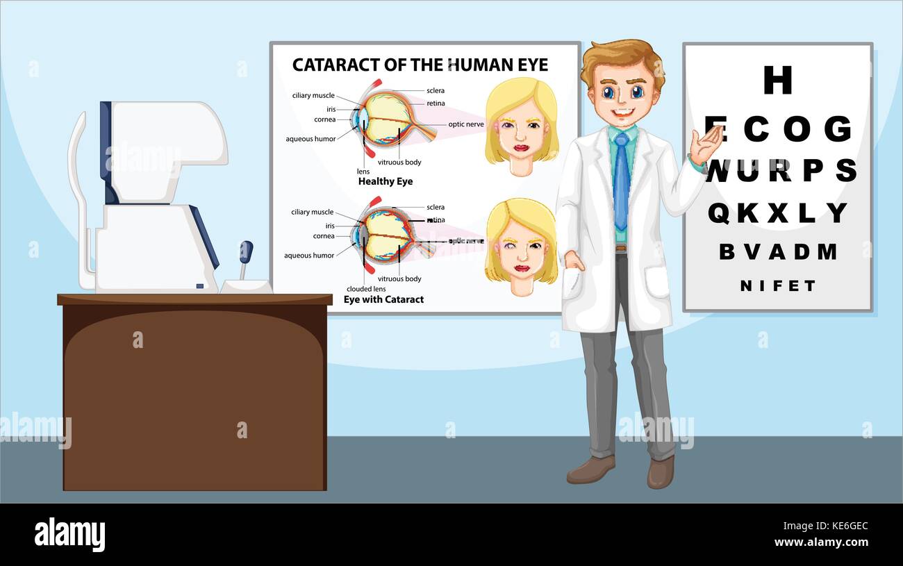 Male anatomy standing Stock Vector Images - Alamy