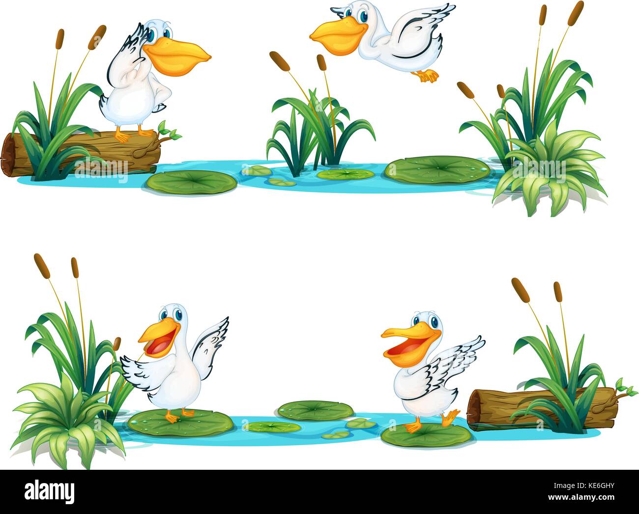 Pelicans flying over the pond illustration Stock Vector Image & Art - Alamy