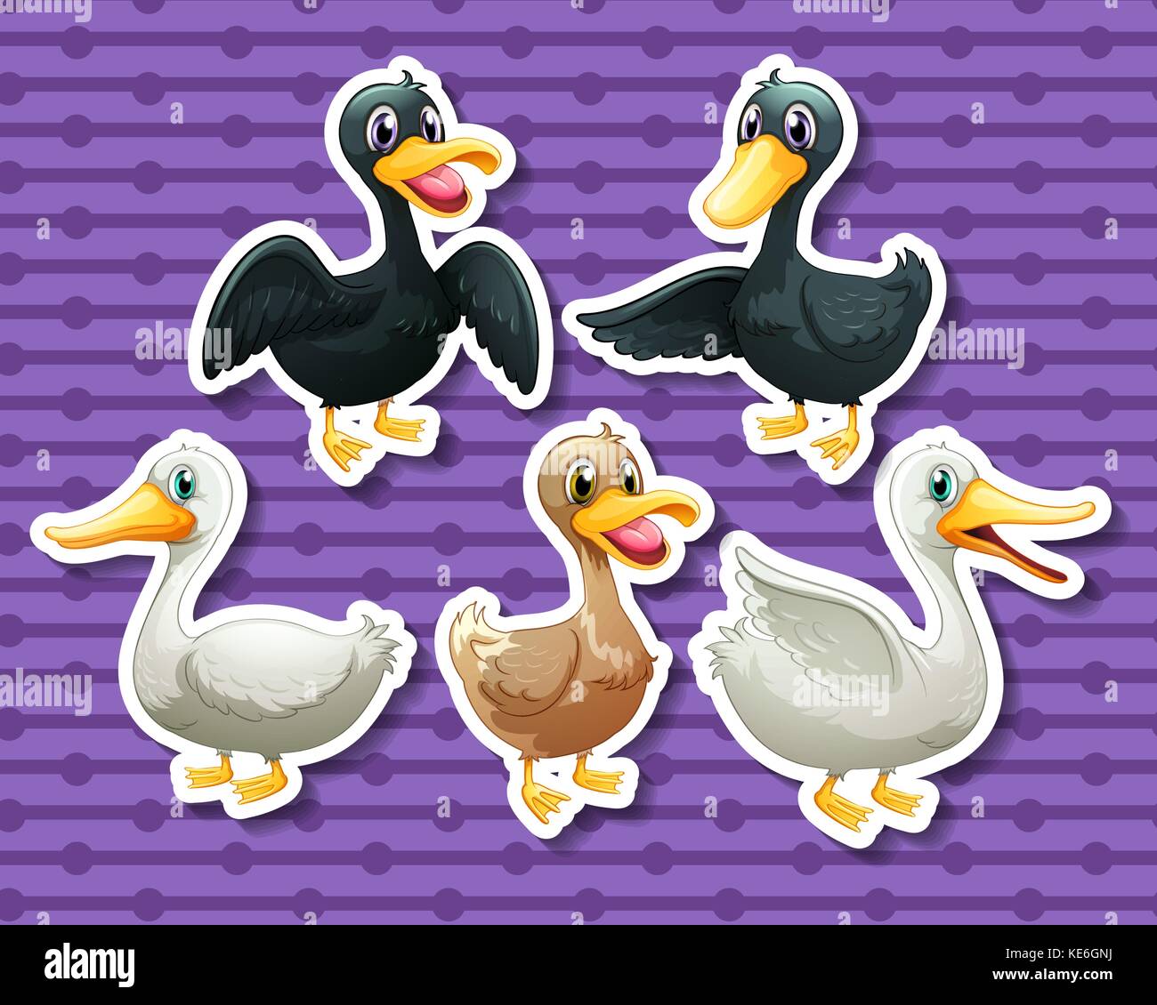 Different color of ducks illustration Stock Vector Image & Art - Alamy