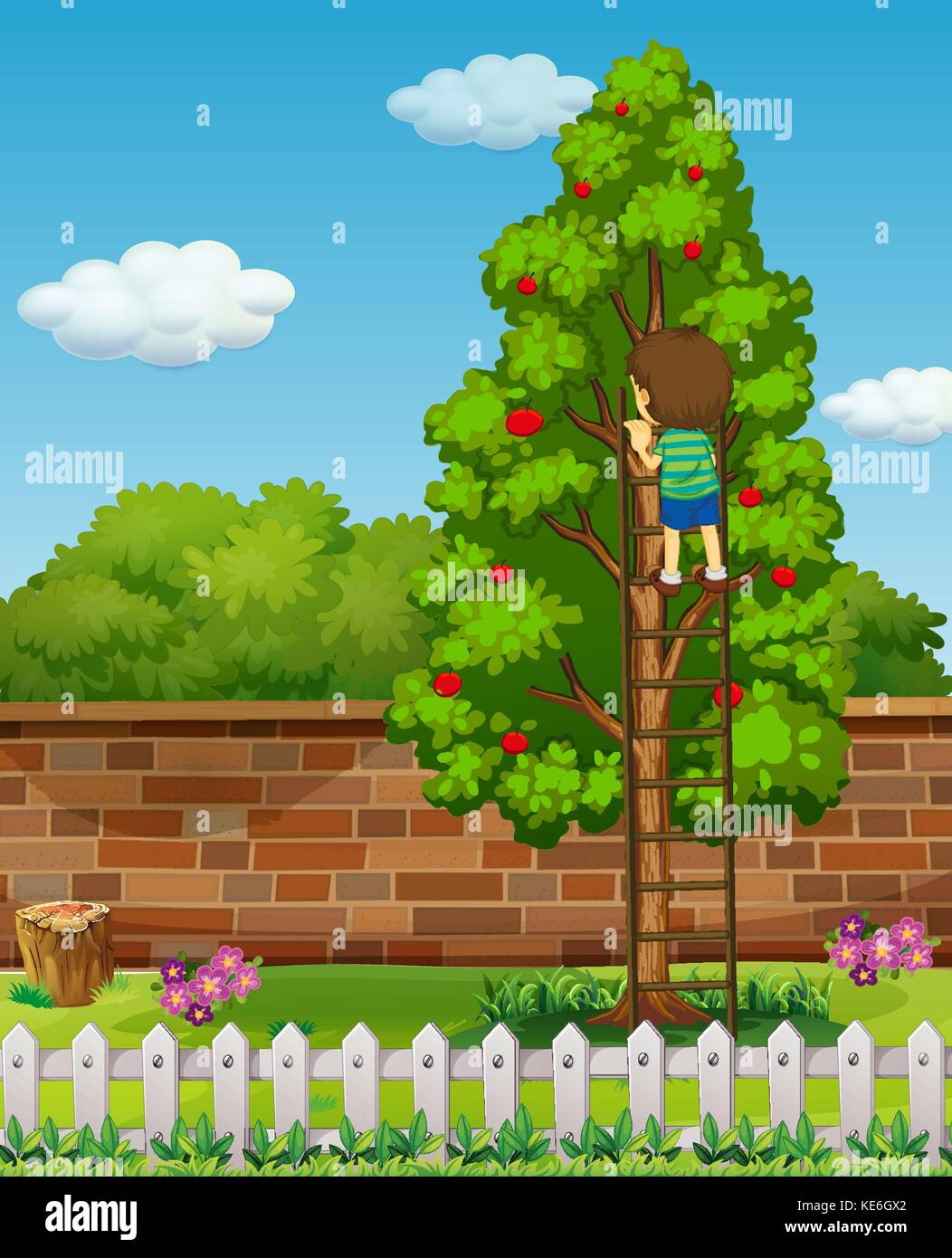 Kid picking apple Stock Vector Images - Alamy