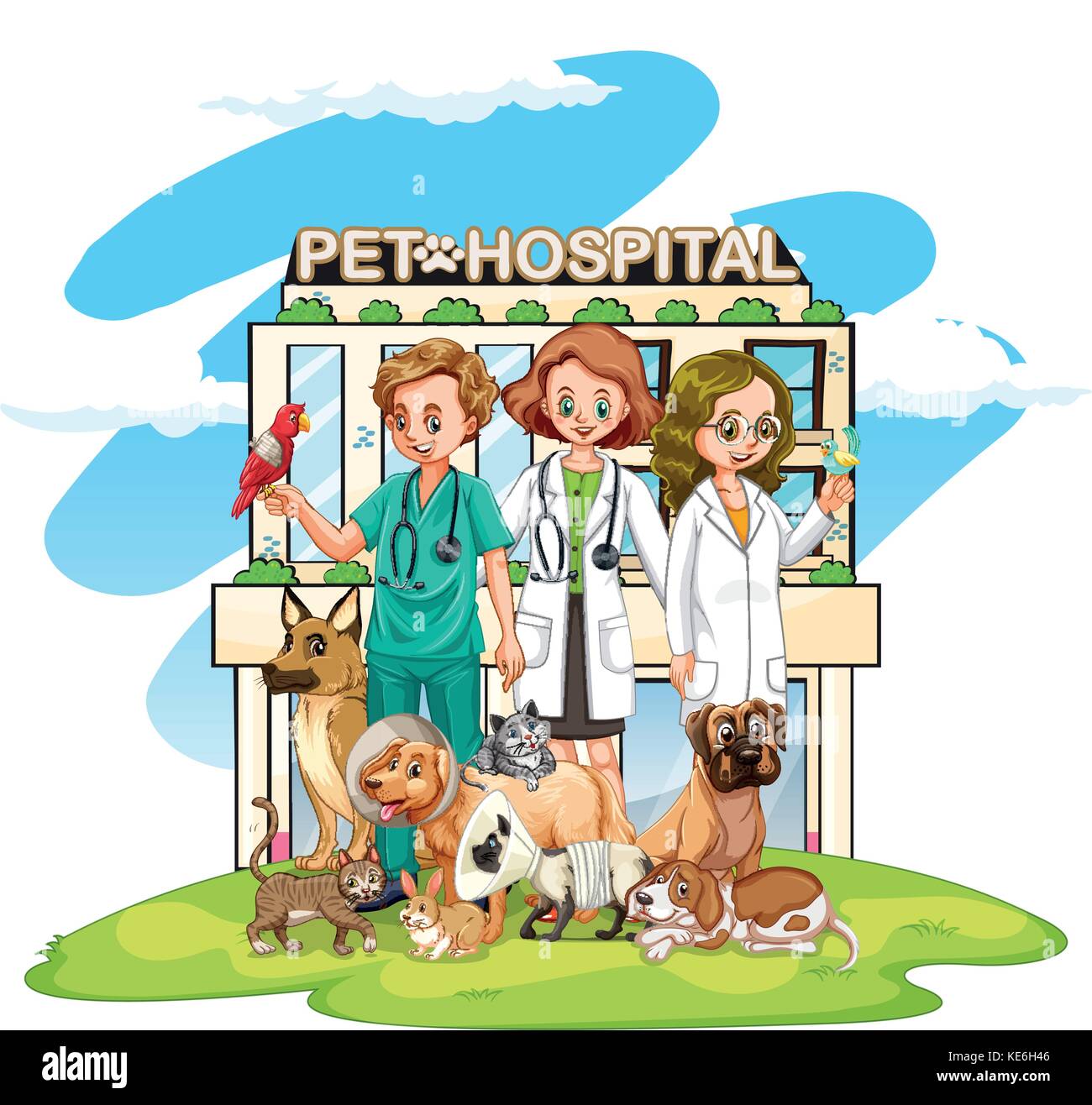 Three vets and many pets at the hospital illustration Stock Vector ...