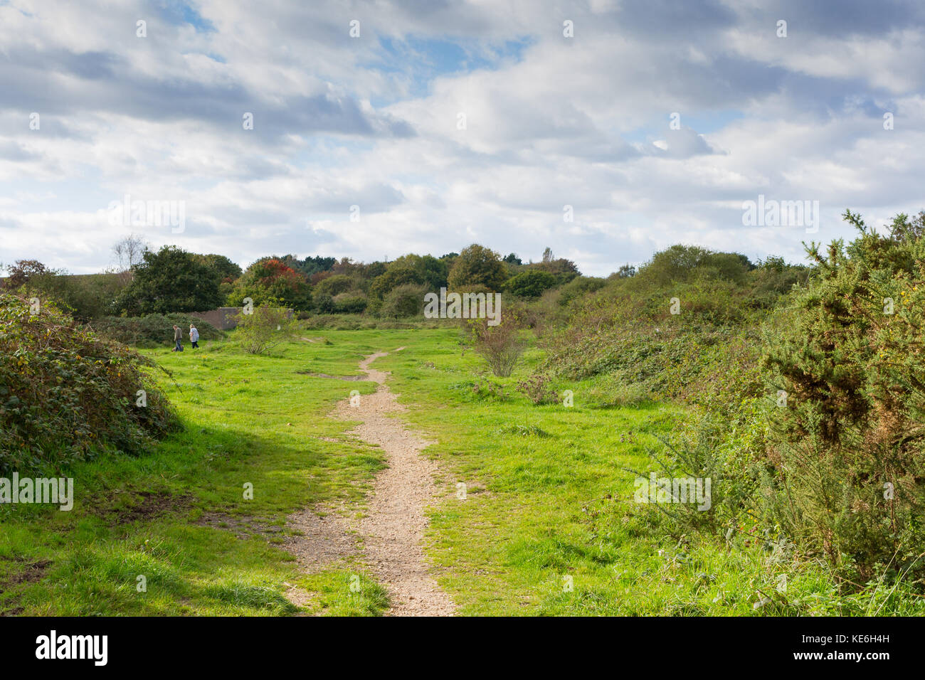 Sunny afternoon in autumn on Turbary Common Nature Reserve, Dorset, UK ...