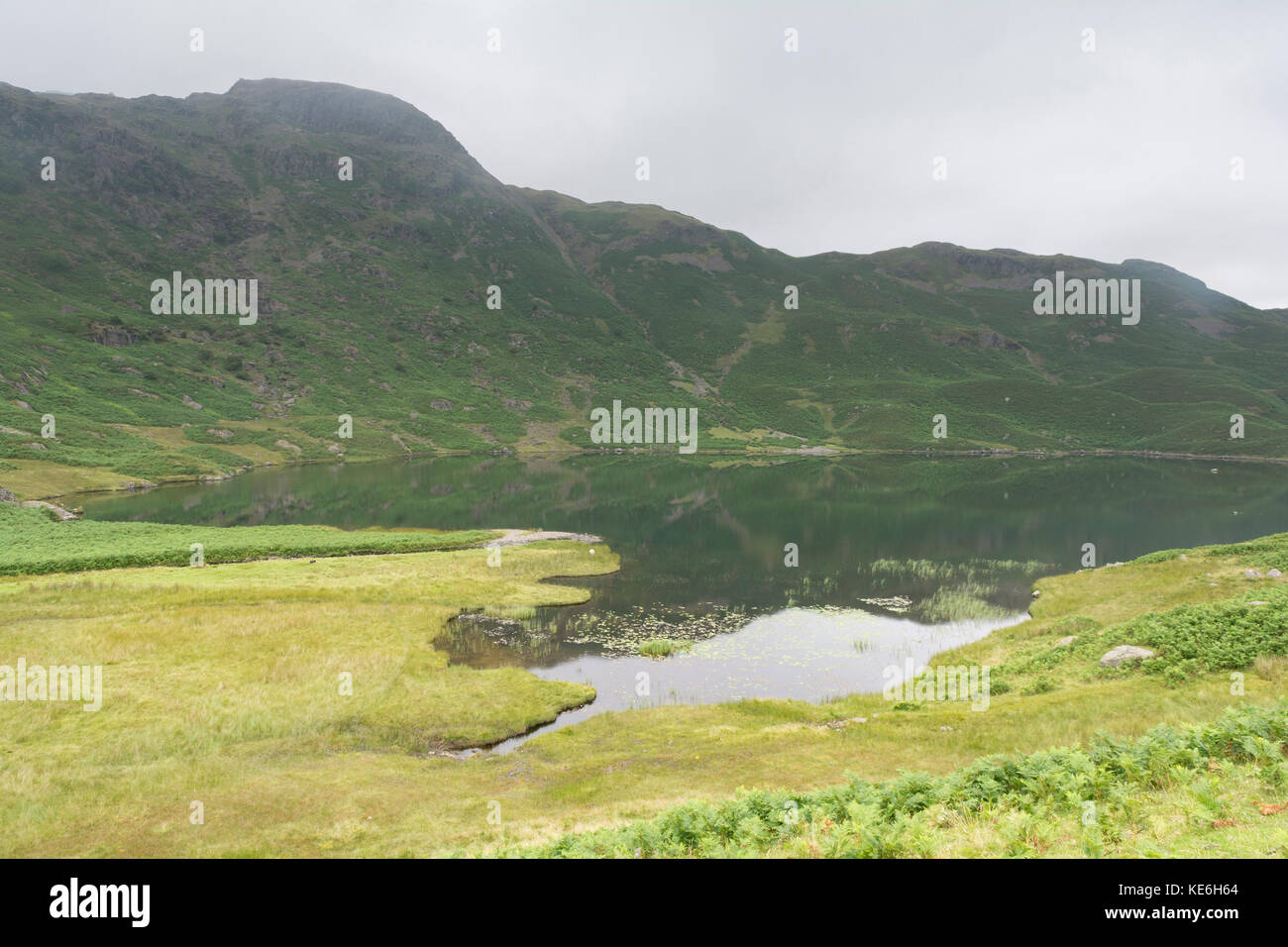 Codale Tarn - Lake District National Park, England, UK Stock Photo - Alamy