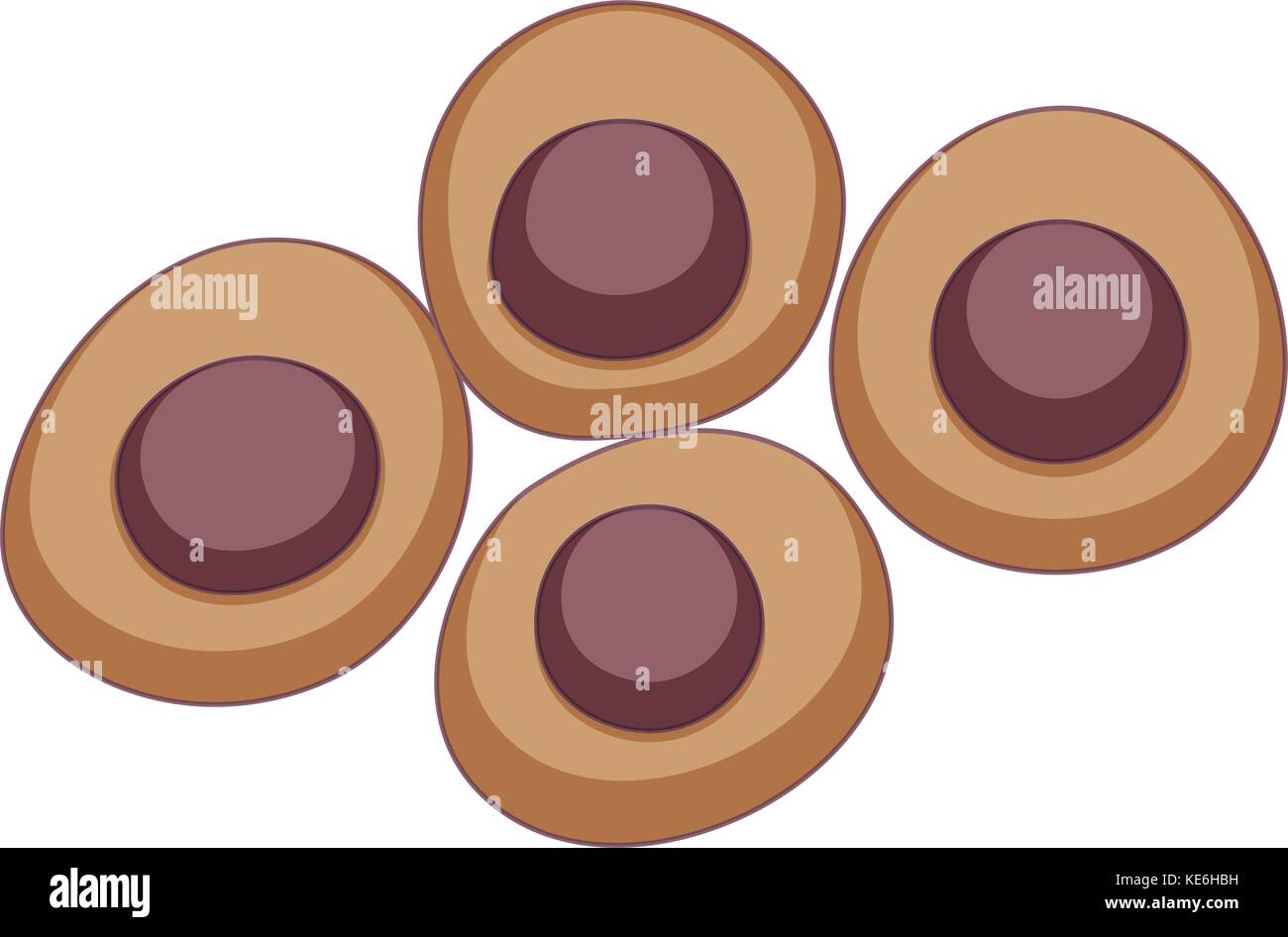 Stem Cell Drawing High Resolution Stock Photography and Images - Alamy