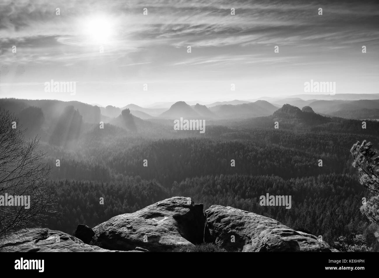 Forest fairy spring Black and White Stock Photos & Images - Alamy