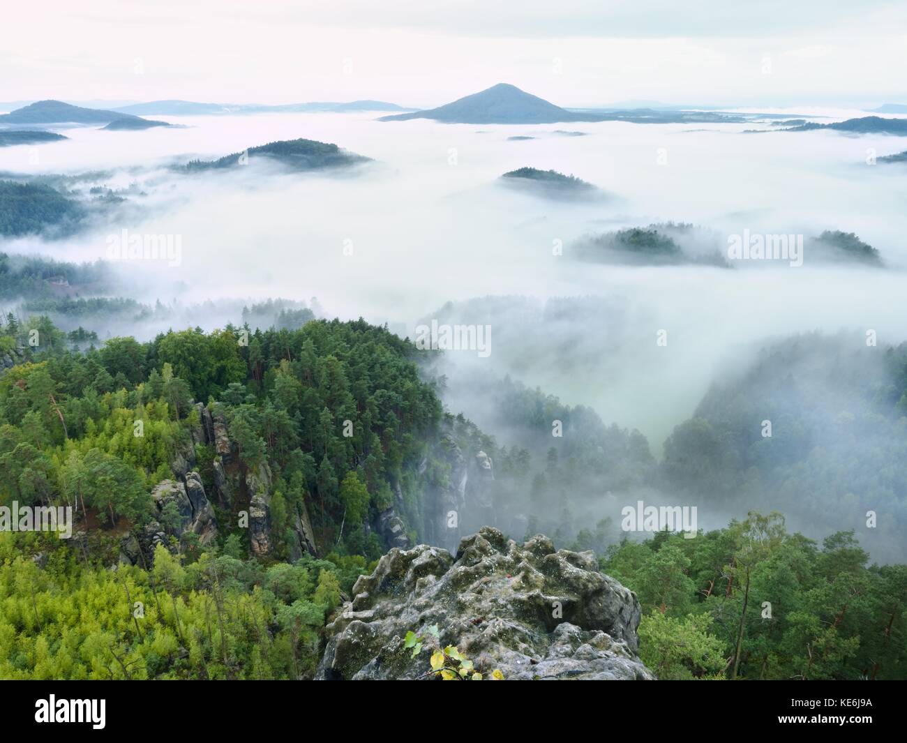 Spring misty landscape. Morning in beautiful hills of natural park ...