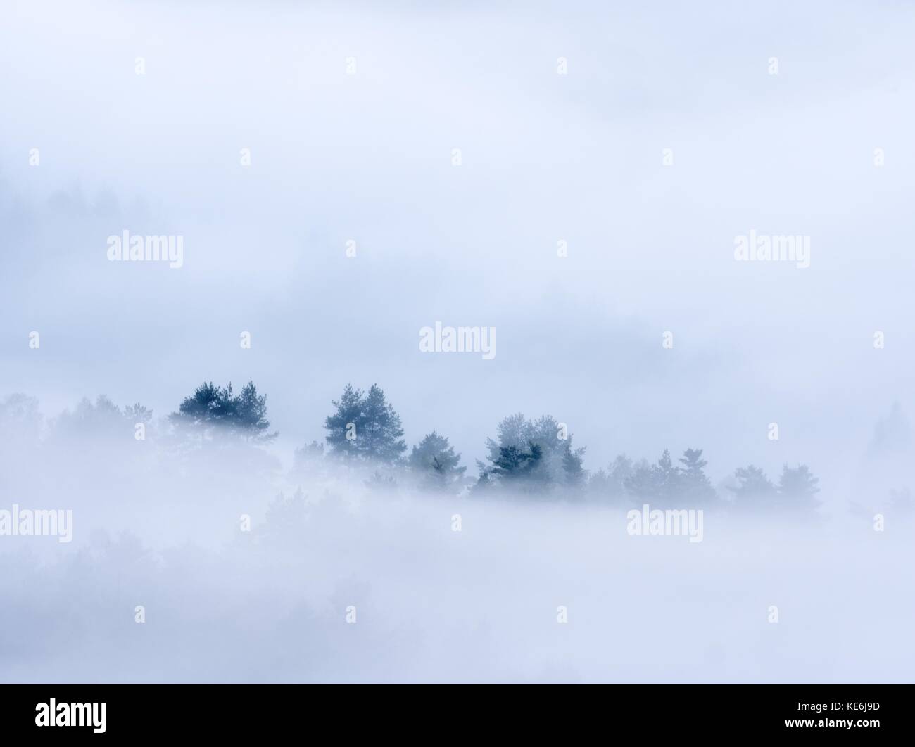 Heavy mist in landscape. Magnificent autumn creamy fog in countryside ...