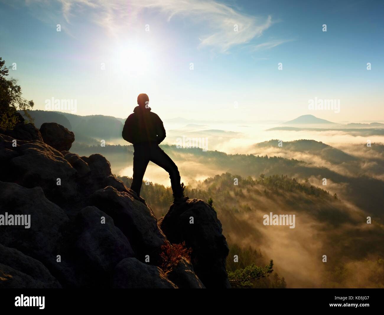 Hiker stand at heather bush on corner of empire bellow pine tree. Man ...