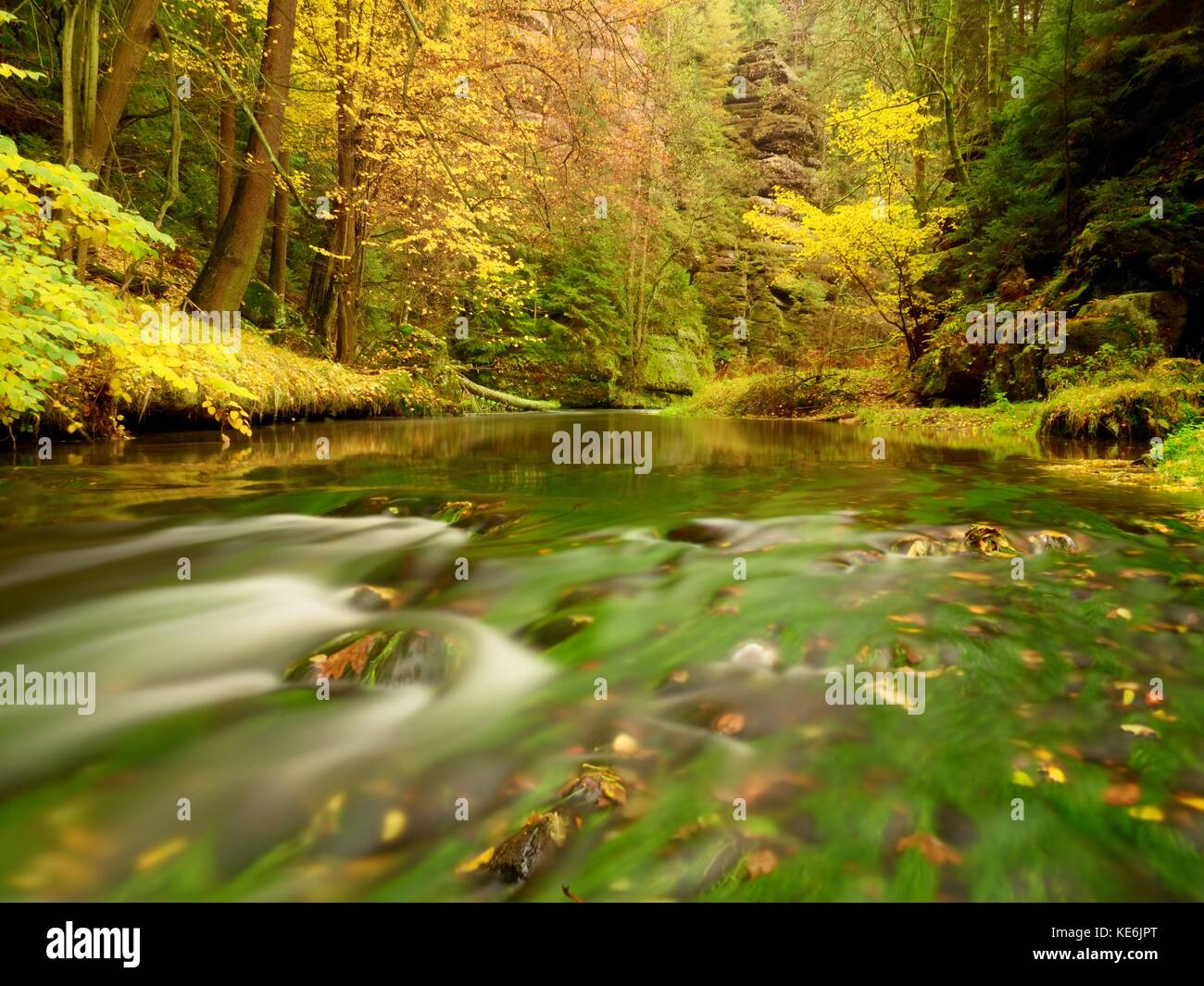 Fall season at mountain river. Green algae in water, colorful autumn ...