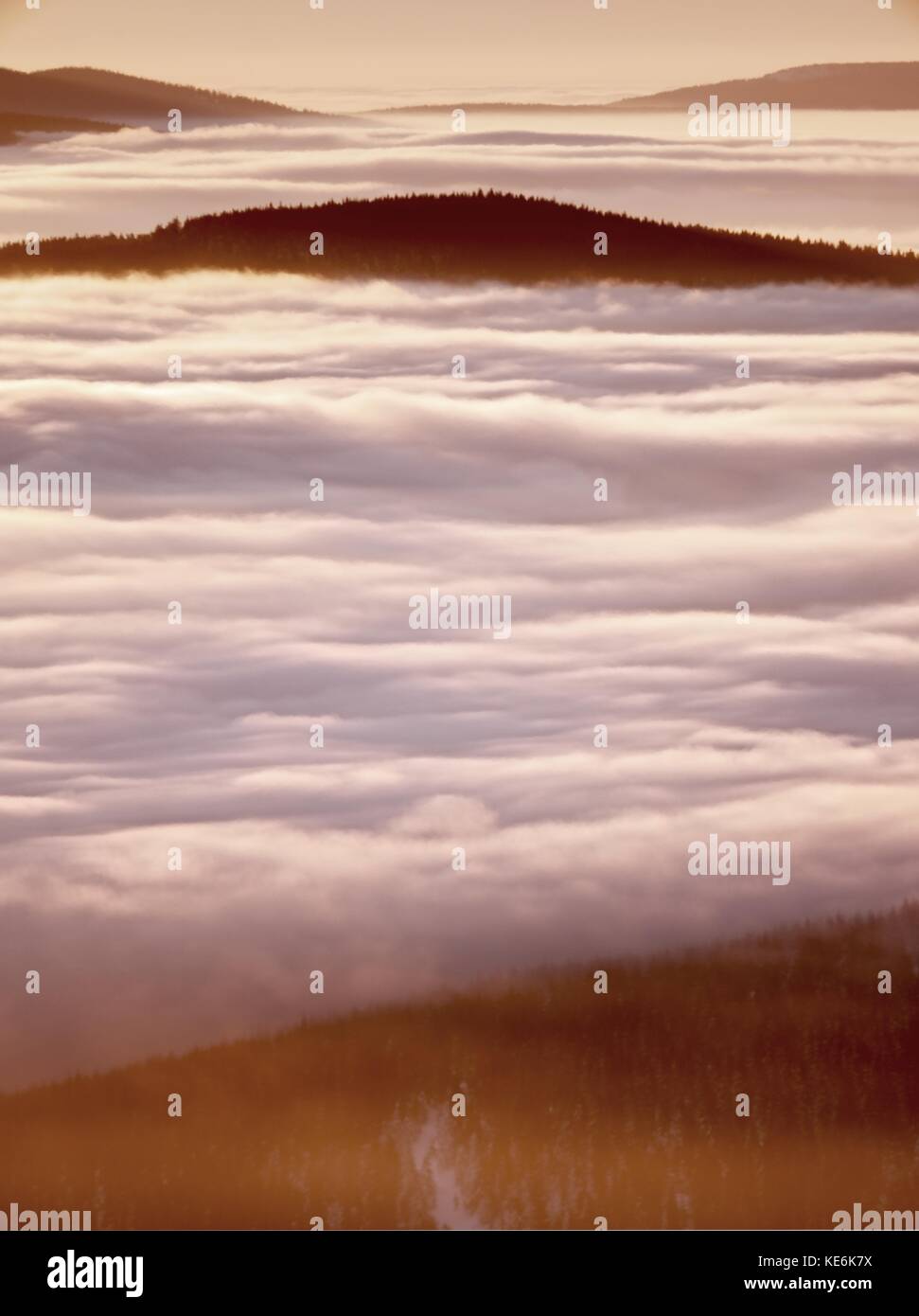Inverse weather in mountains, shinning fog. Misty valley in winter ...