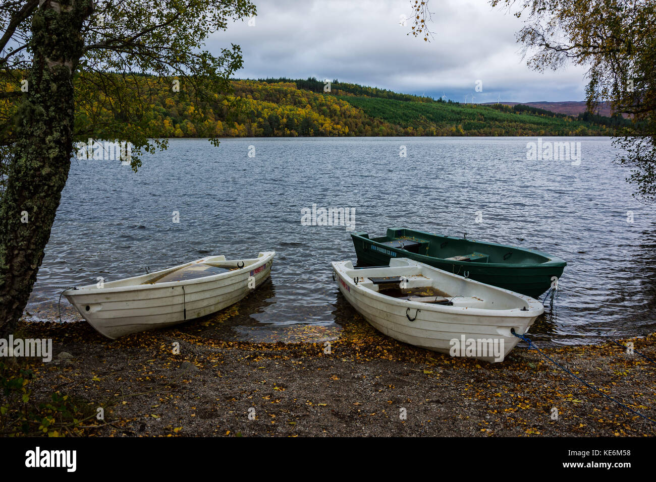 Autumn at Loch Achilty, Contin, Ross Shire, Scotland, United Kingdom ...