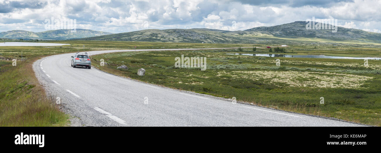 Olive Lichen High Resolution Stock Photography and Images - Alamy