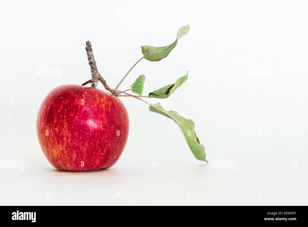 Fresh natural organic Red Heirloom Delicious closeup of organic apple ...