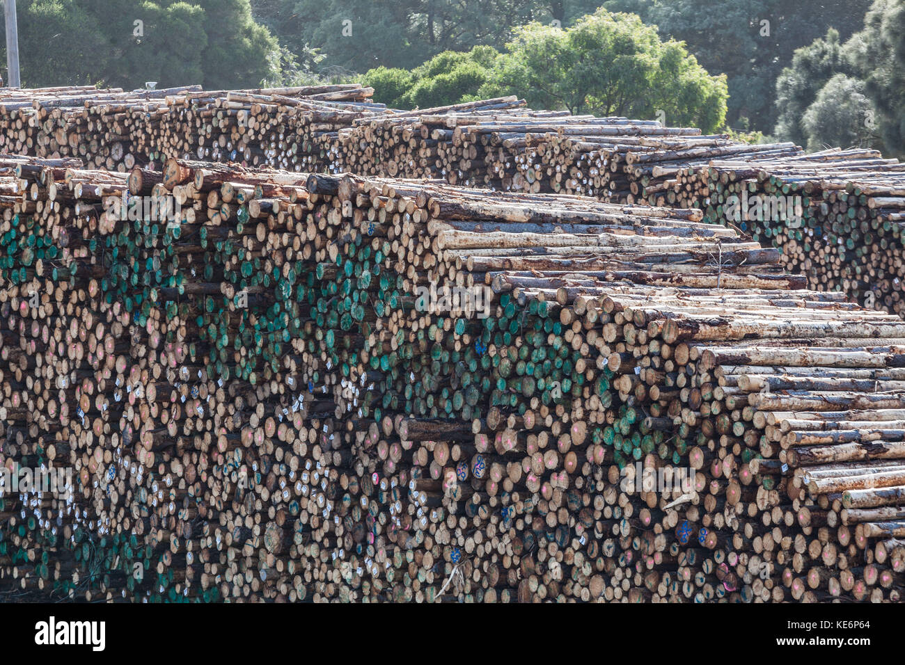 Lumber yard hi-res stock photography and images - Alamy