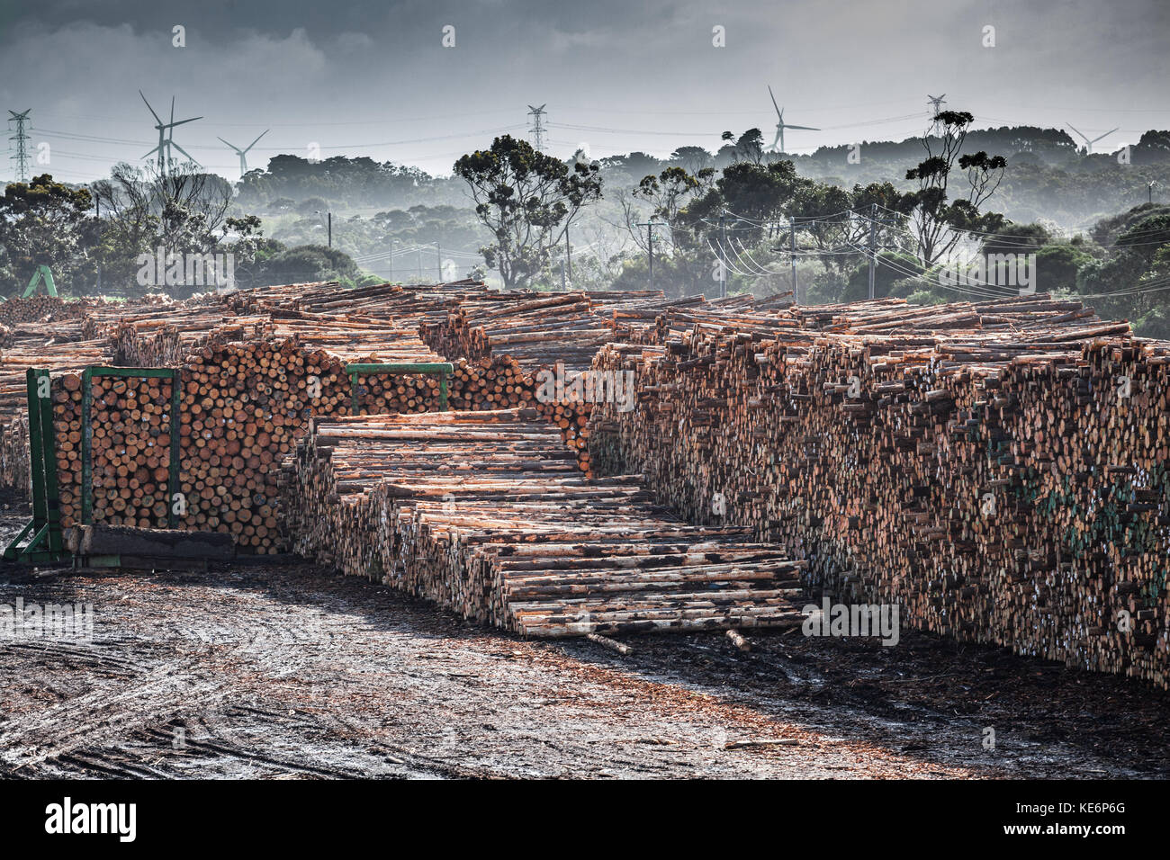 Lumber yard hi-res stock photography and images - Alamy
