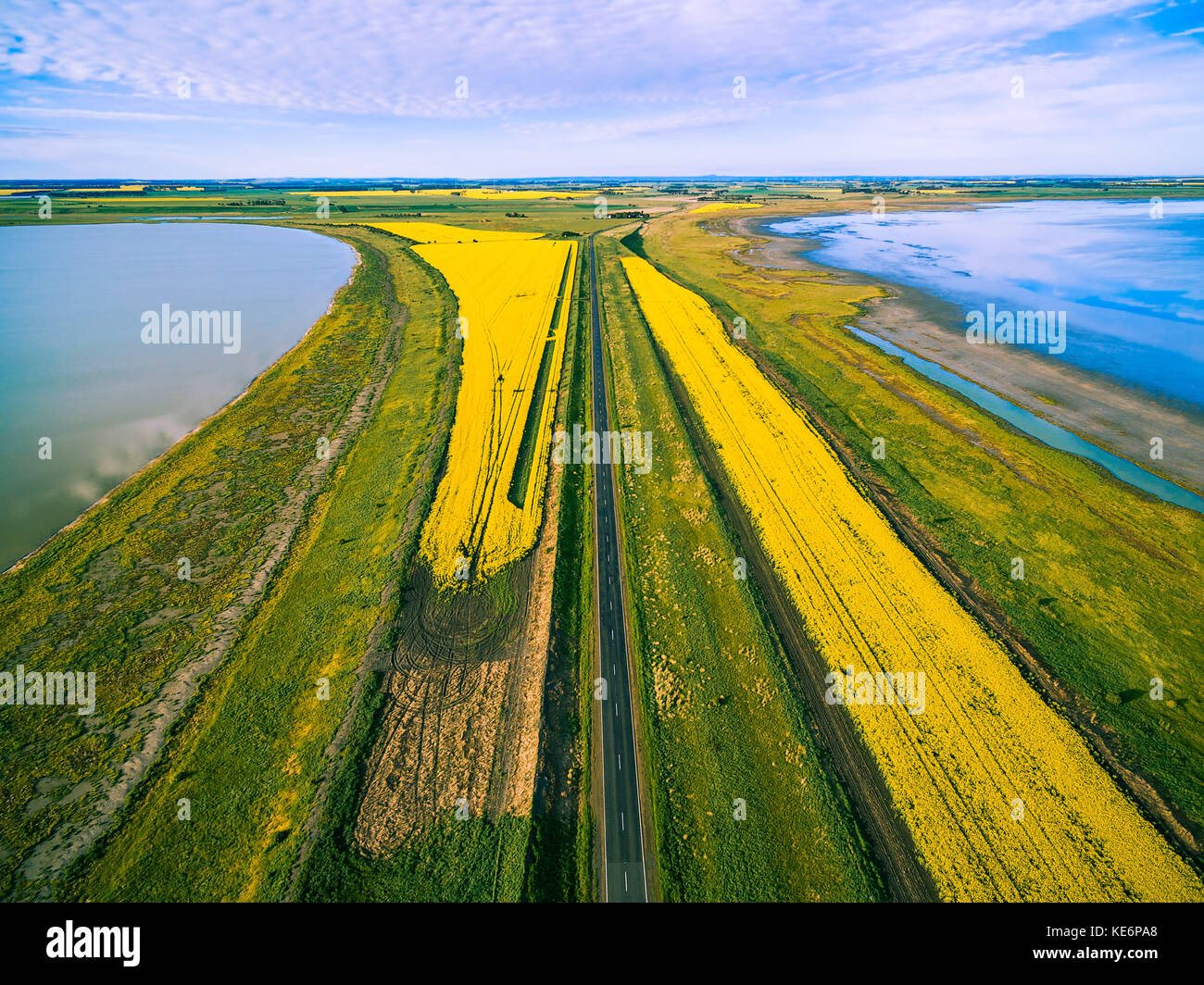 Country road through yellow rapeseed hi-res stock photography and ...