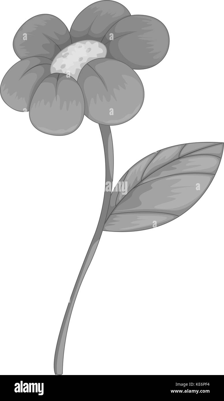 Poster of a single flower in gray color on a white background Stock ...
