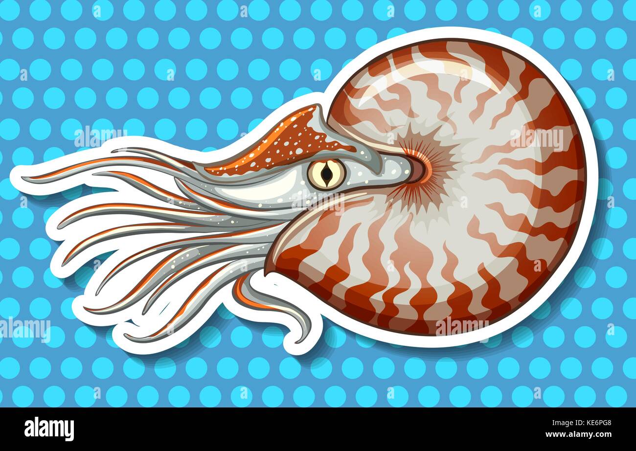 Closeup sea creature on blue polka dot background Stock Vector Image ...