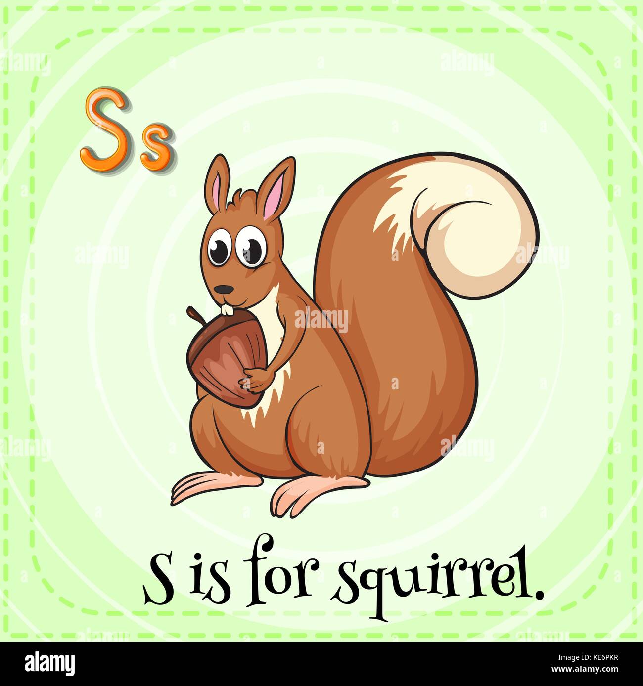 S is for squirrel Stock Vector Image & Art - Alamy