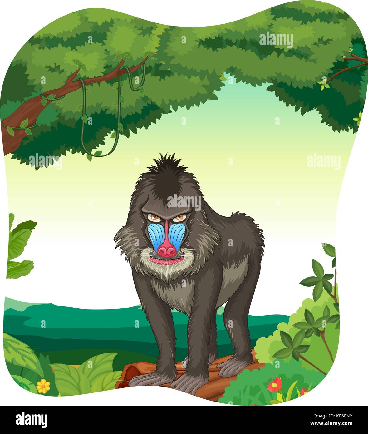 Baboon tree Stock Vector Images - Alamy
