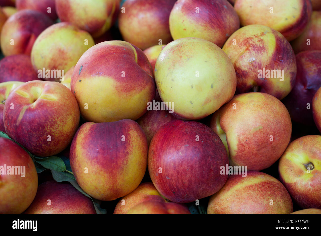A group of nectarines on display at the Davis farmers market in ...