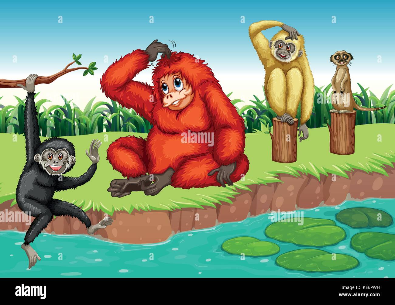 Monkeys sitting on the river bank Stock Vector Image & Art - Alamy