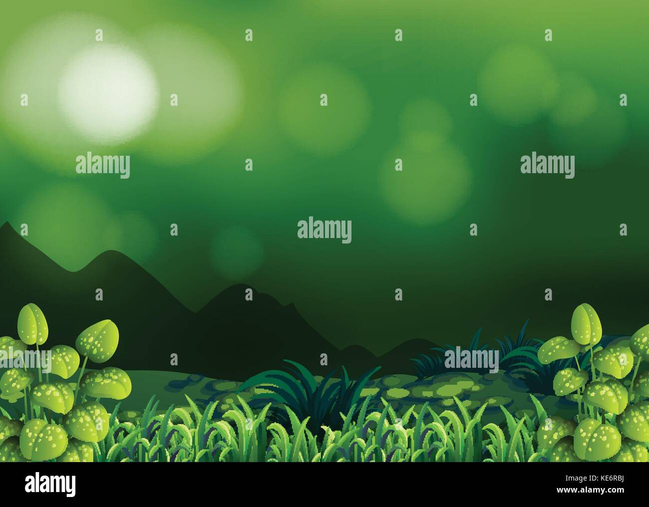 Forest background with lawn and bushes Stock Vector Image & Art - Alamy