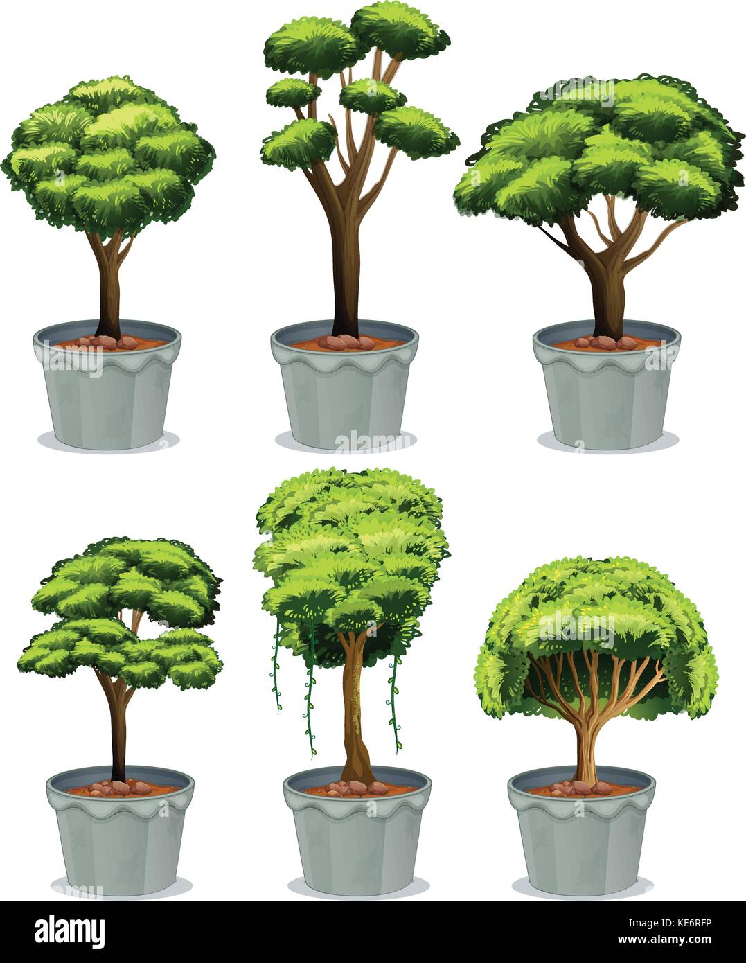 Pot plant on wood Stock Vector Images - Alamy