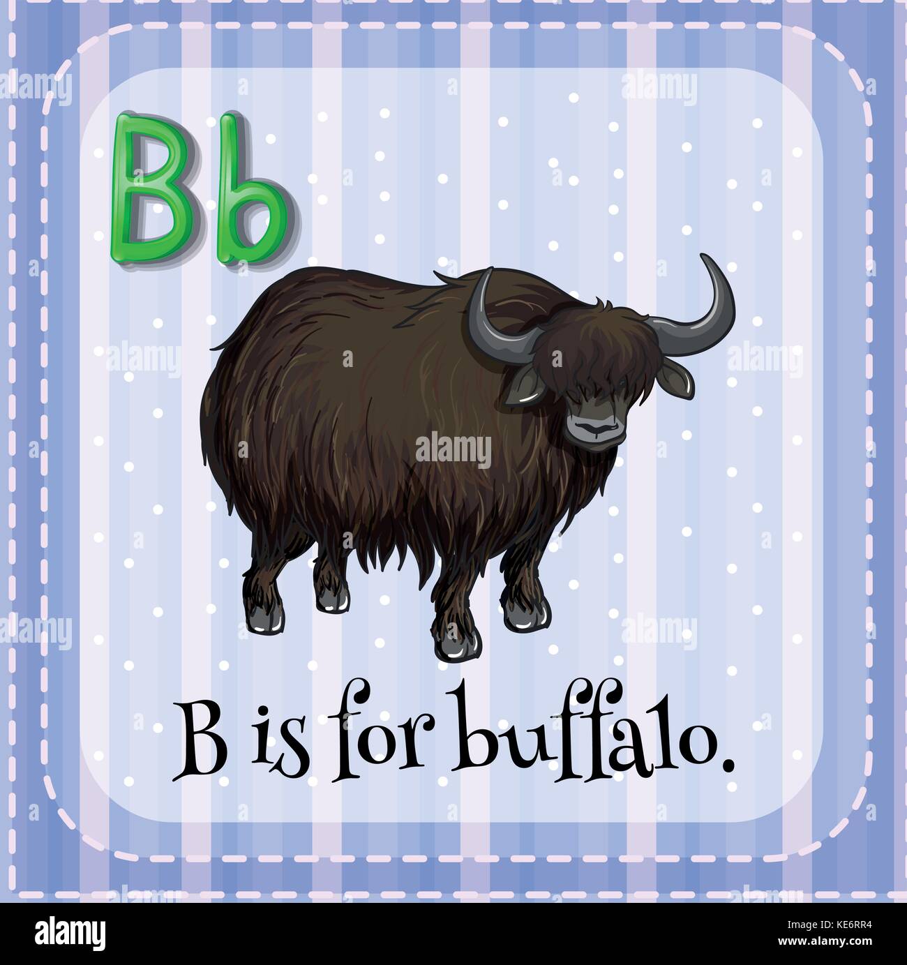 Flashcard letter B is for buffalo Stock Vector Image & Art - Alamy