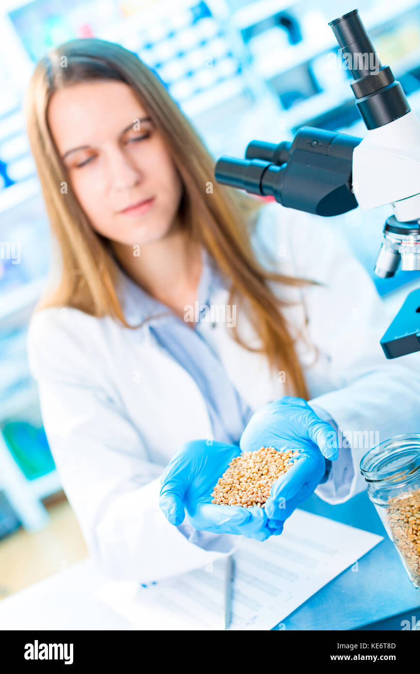 Selective and genetic work with seeds and grains in a scientific ...