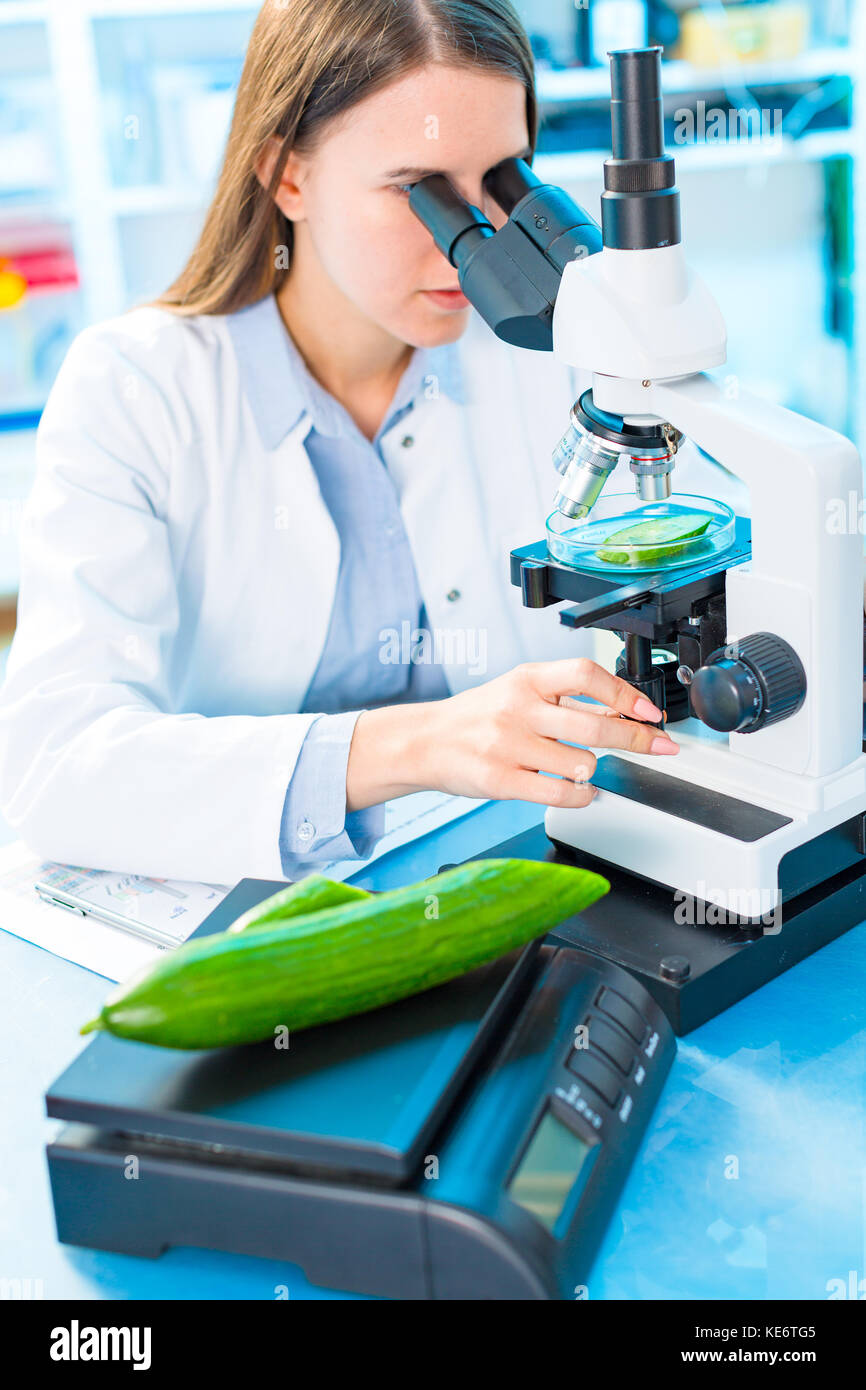 Checking fruit and vegetables for harmful elements. Laboratory for ...