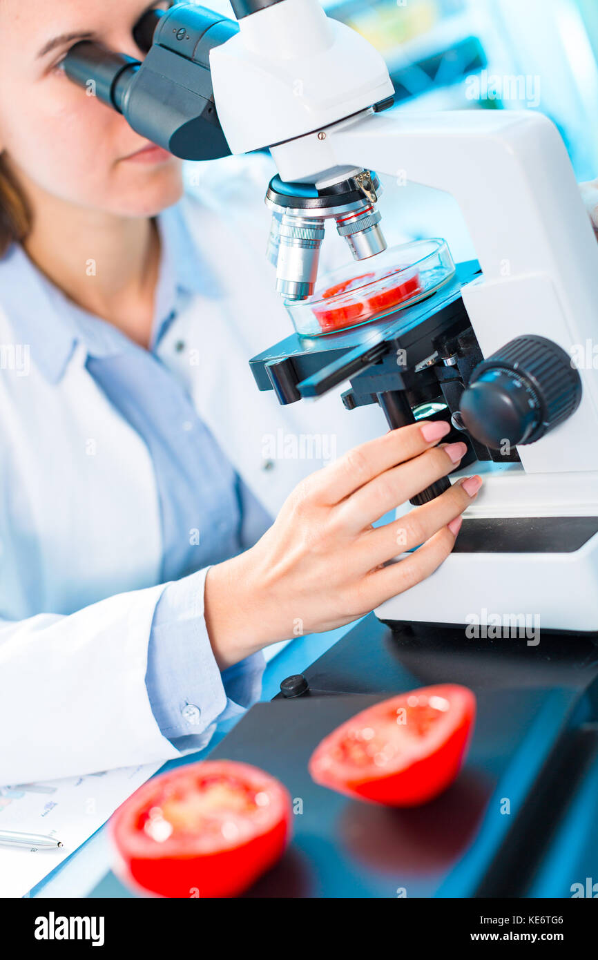 Food safety inspection hi-res stock photography and images - Alamy