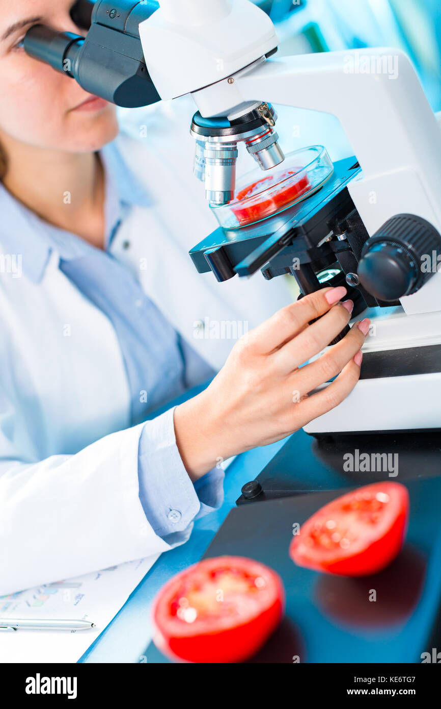 Checking fruit and vegetables for harmful elements. Laboratory for ...
