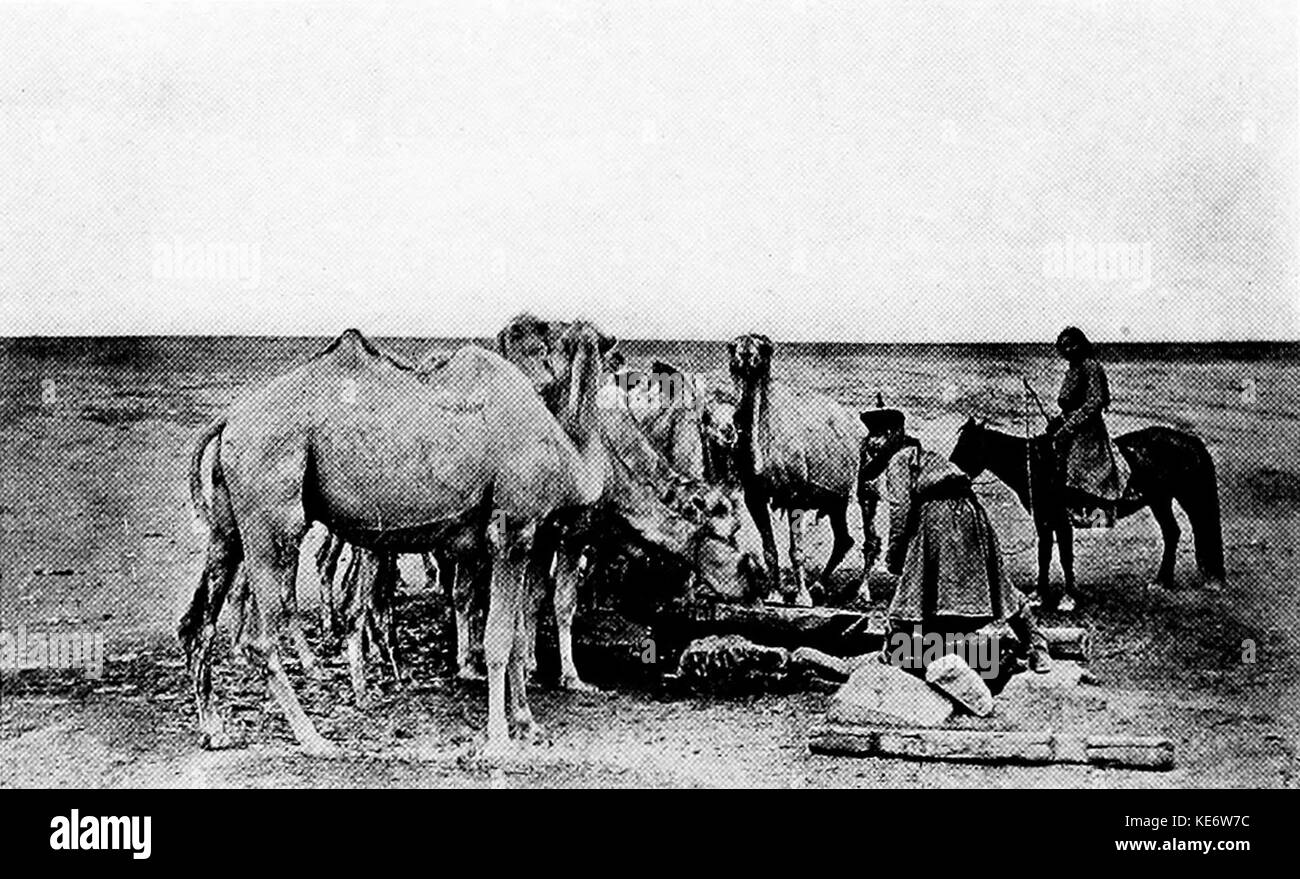 Watering camels at a well in the gobi desert Stock Photo - Alamy