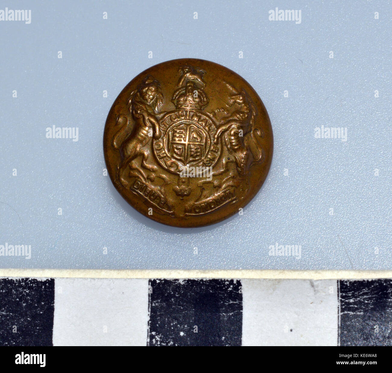 World War I British General Service Button Stock Photo - Alamy