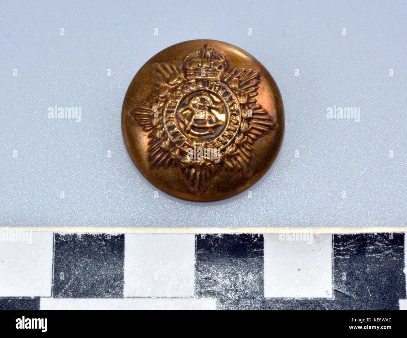 World War I British Army Service Corps Button Stock Photo - Alamy