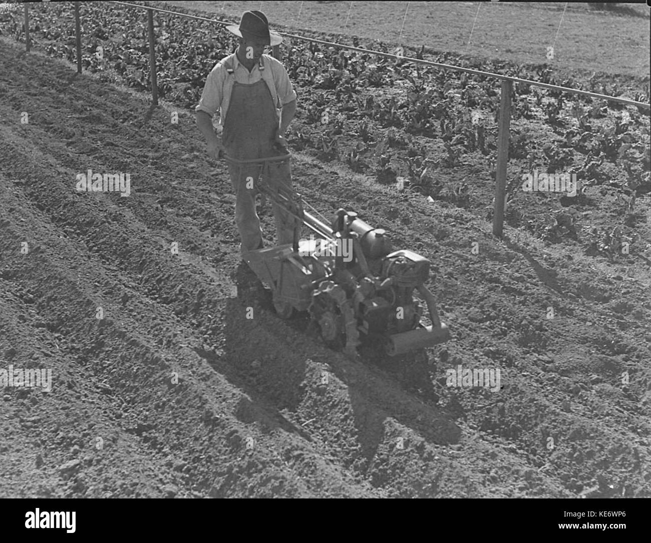 29365 Howard Auto Cultivators rotary hoes Northmead Stock Photo - Alamy