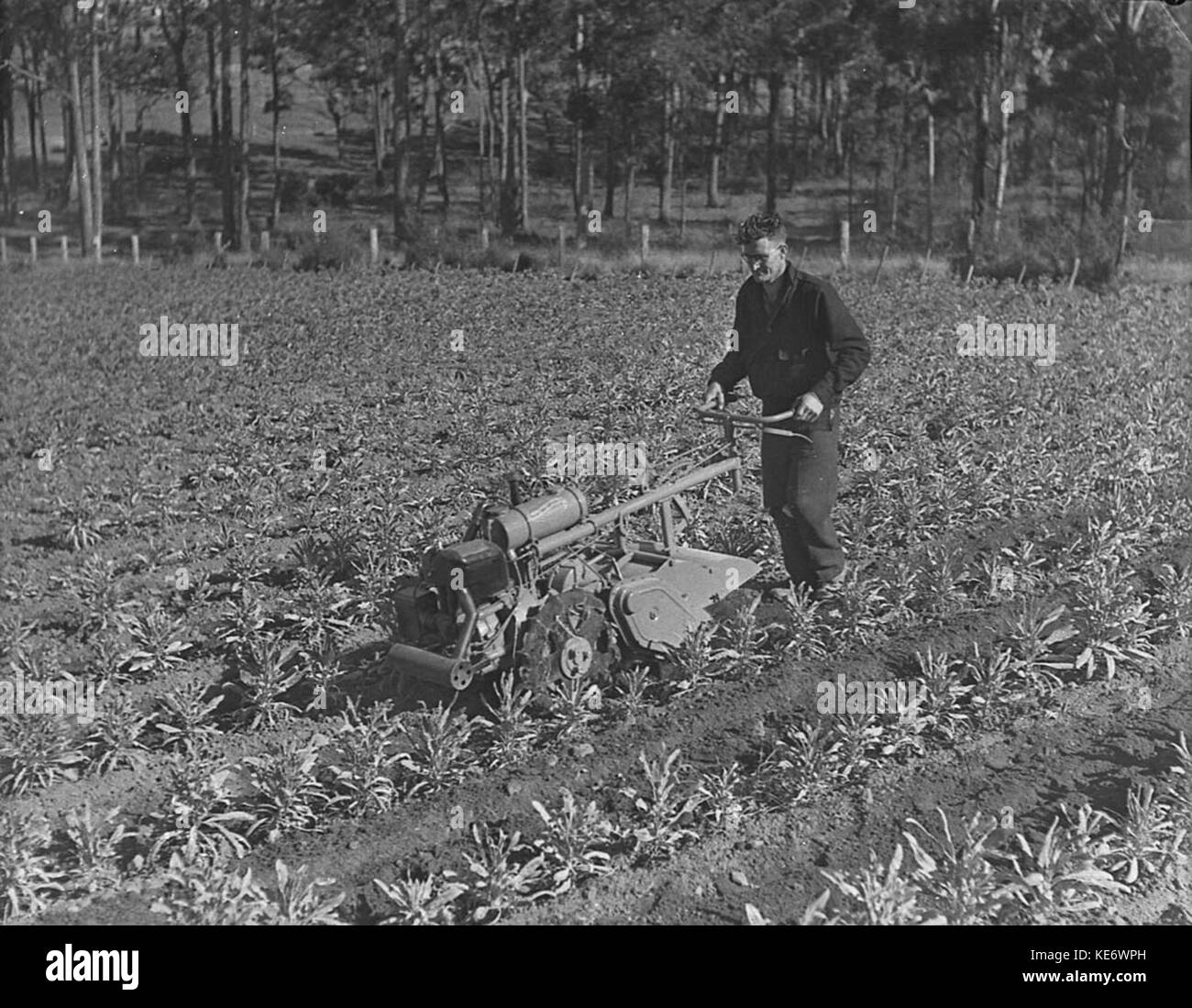29366 Howard Auto Cultivators rotary hoes Northmead Stock Photo - Alamy