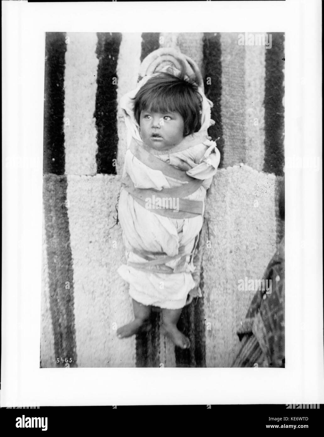 Walapai baby wrapped in a papoose basket, ca.1900 (CHS 5465 Stock Photo ...