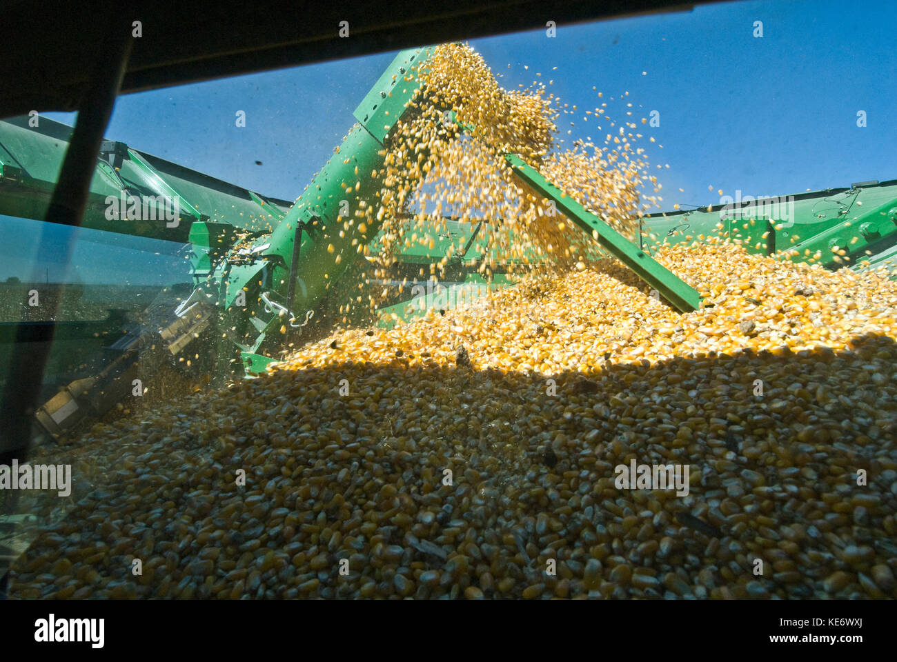 LOADING CORN INTO HOPPER OF JOHN DEERE COMBINE Stock Photo - Alamy