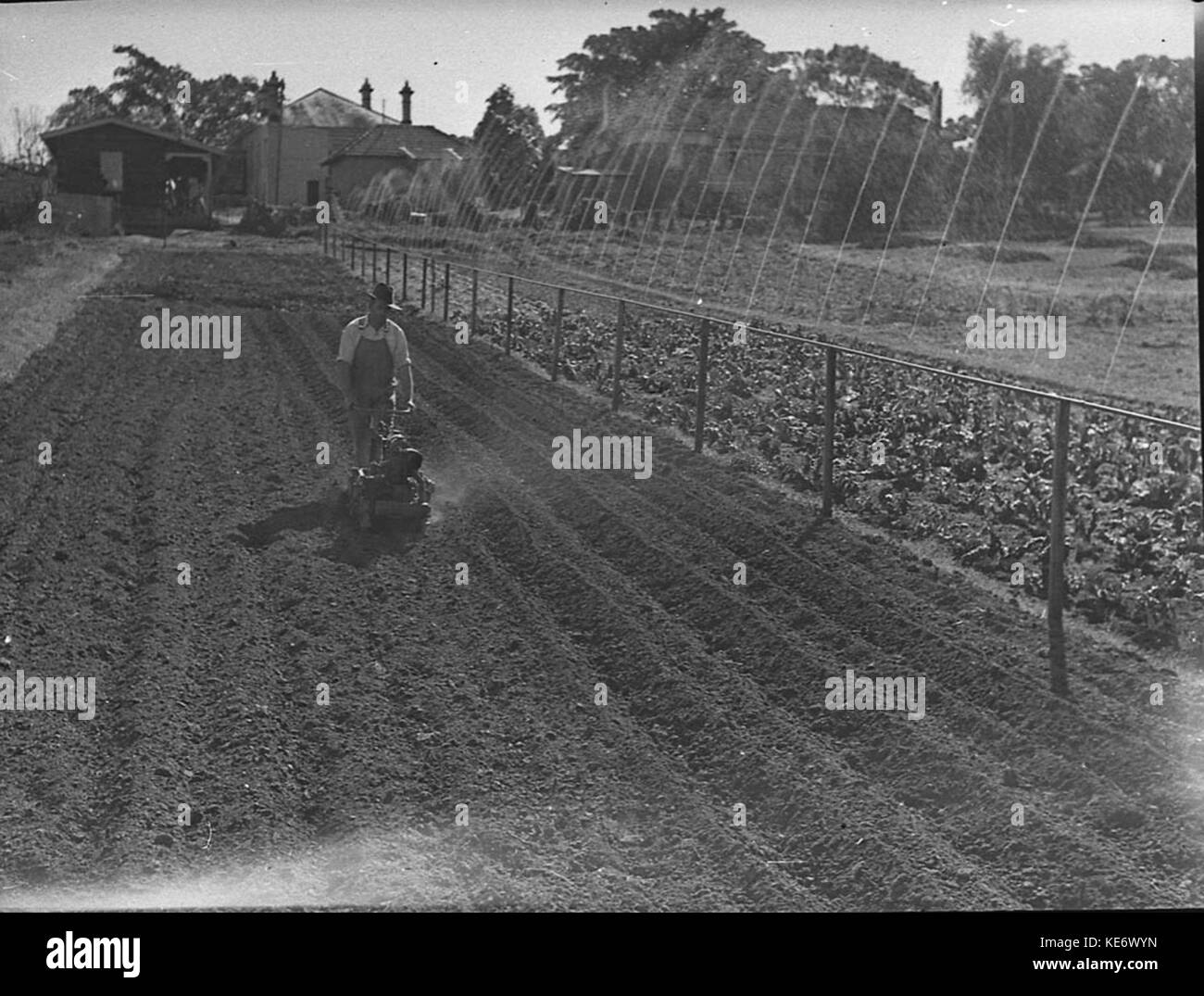 29426 Howard Auto Cultivators rotary hoes Burnside Homes Stock Photo ...