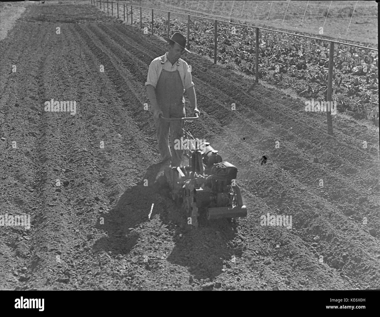 29433 Howard Auto Cultivators rotary hoes Burnside Homes Stock Photo ...