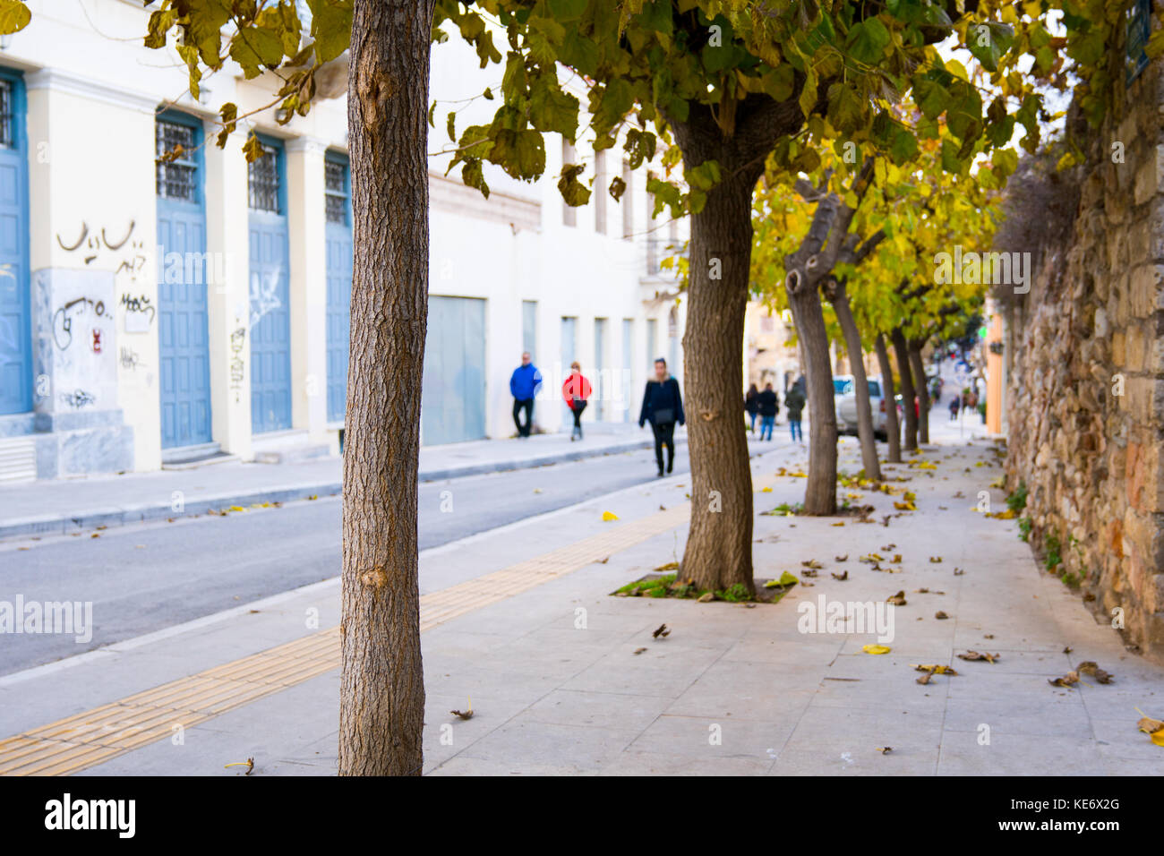 Trees in city street at autumn Stock Photo - Alamy