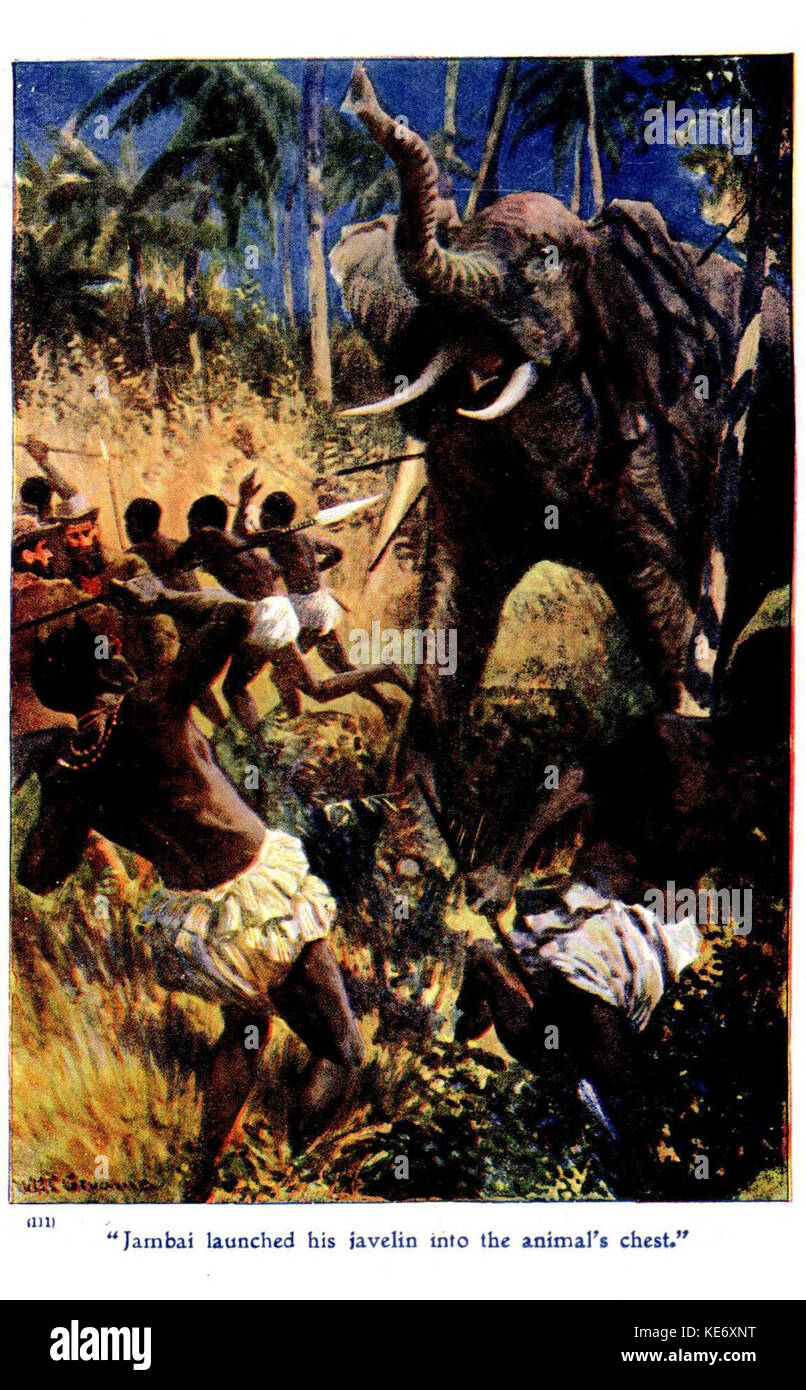 Gorilla behavior study hi-res stock photography and images - Alamy