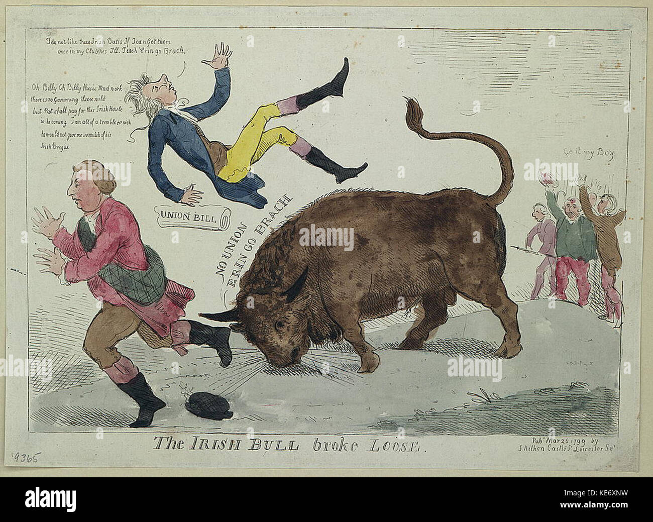 Irish bull hi-res stock photography and images - Alamy