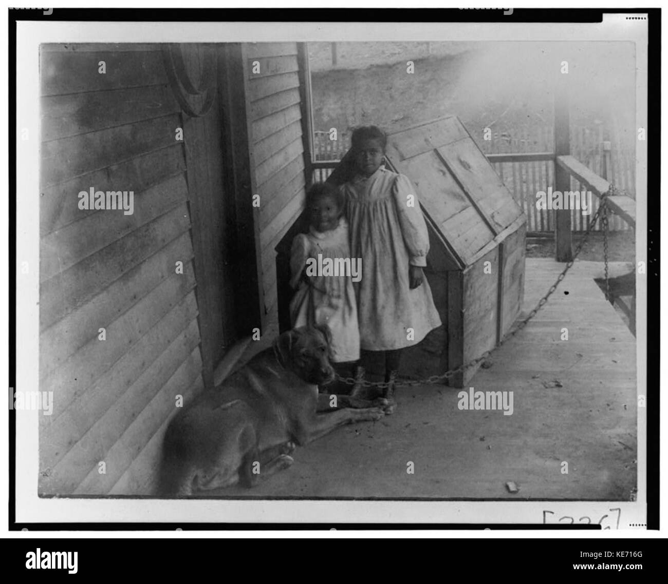 Children with a dog hi-res stock photography and images - Alamy